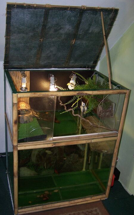 Terrarium – KiwiThek