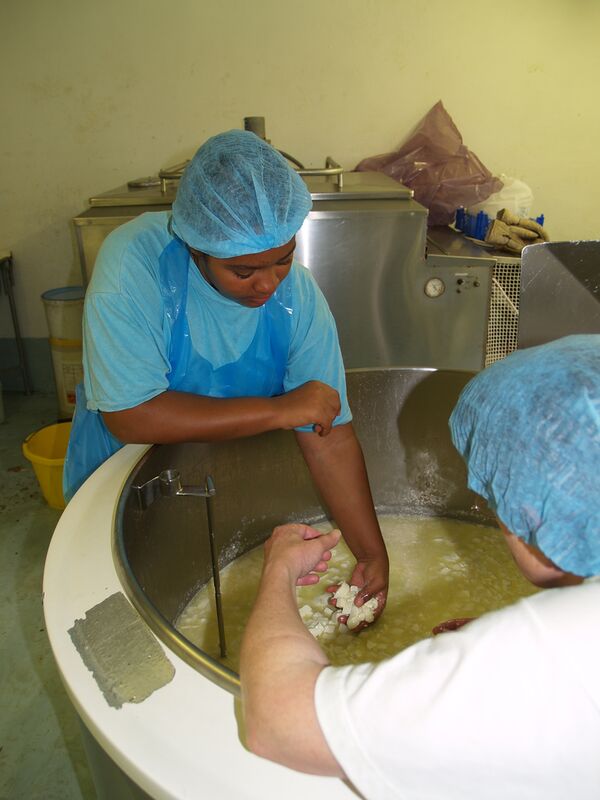 Milchtechnologin und Milchtechnologe/einfach – KiwiThek