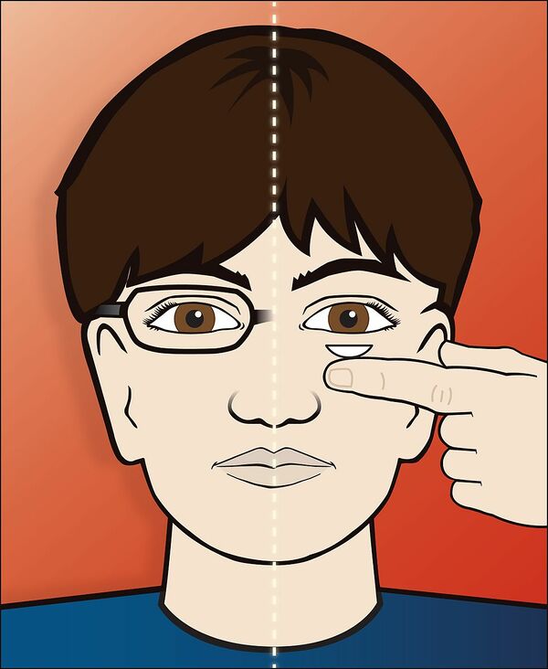 Gesichtssinn – KiwiThek