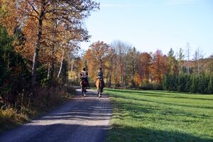 Reiten – KiwiThek