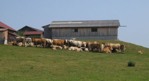 Landwirtschaft – KiwiThek