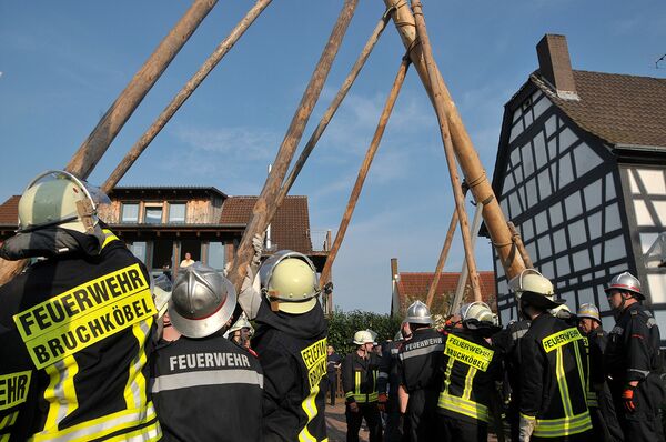 Maibaum – KiwiThek