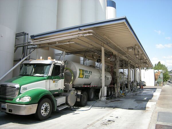 Weg der Milch – KiwiThek