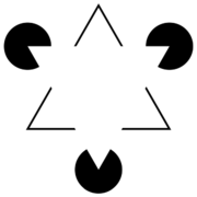 Gesichtssinn – KiwiThek