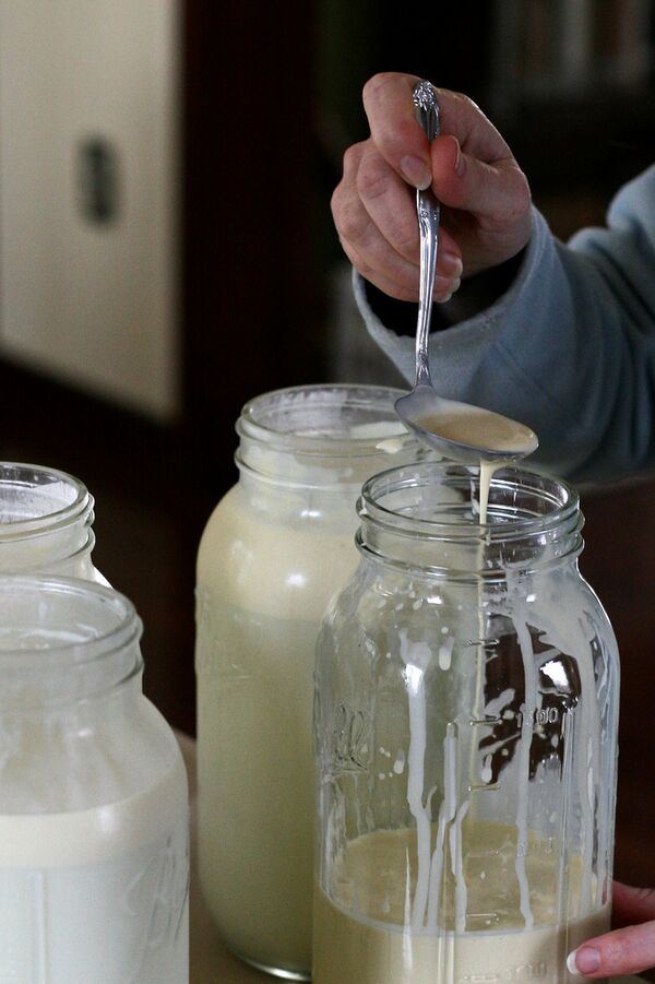 Molkerei – KiwiThek