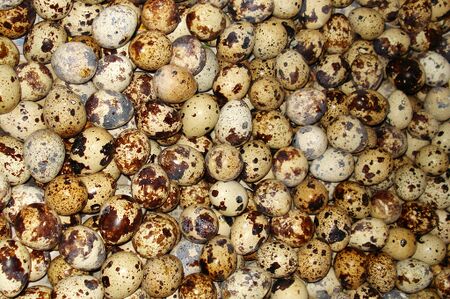 Landwirtschaft – KiwiThek