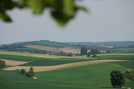 Niederösterreich/einfach – KiwiThek